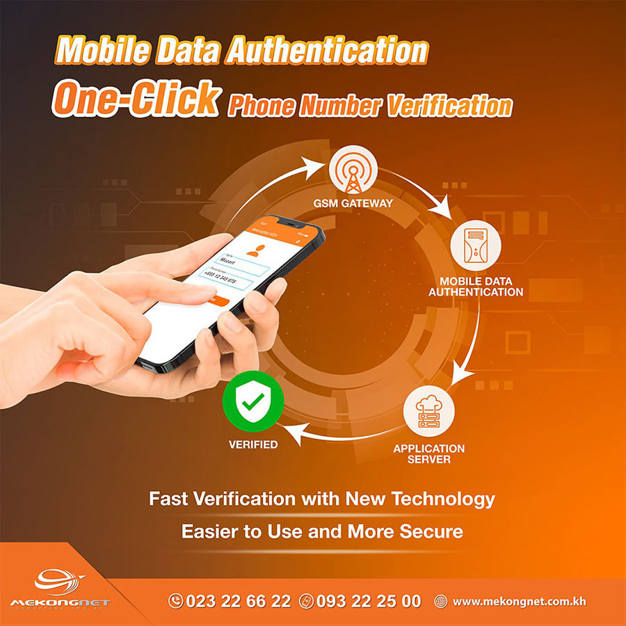 Maximise Your Digital Potential With MekongNet’s Comprehensive Services ...